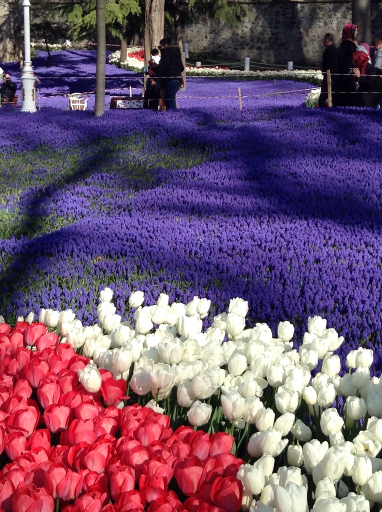 SPRING TIME IN ISTANBUL | Turkey Travel Guide